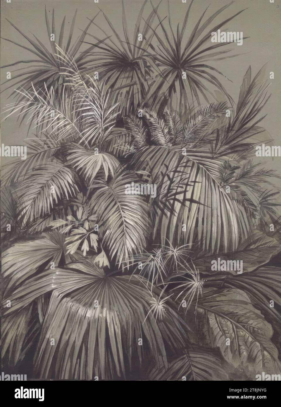 Plant study in the palm house, Rösch Ludwig sketchbook; 39 paginated ...