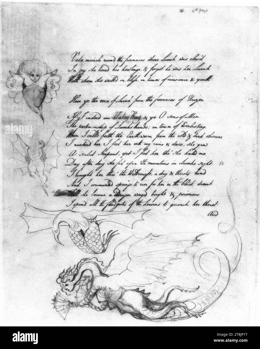 Zoas hi-res stock photography and images - Alamy