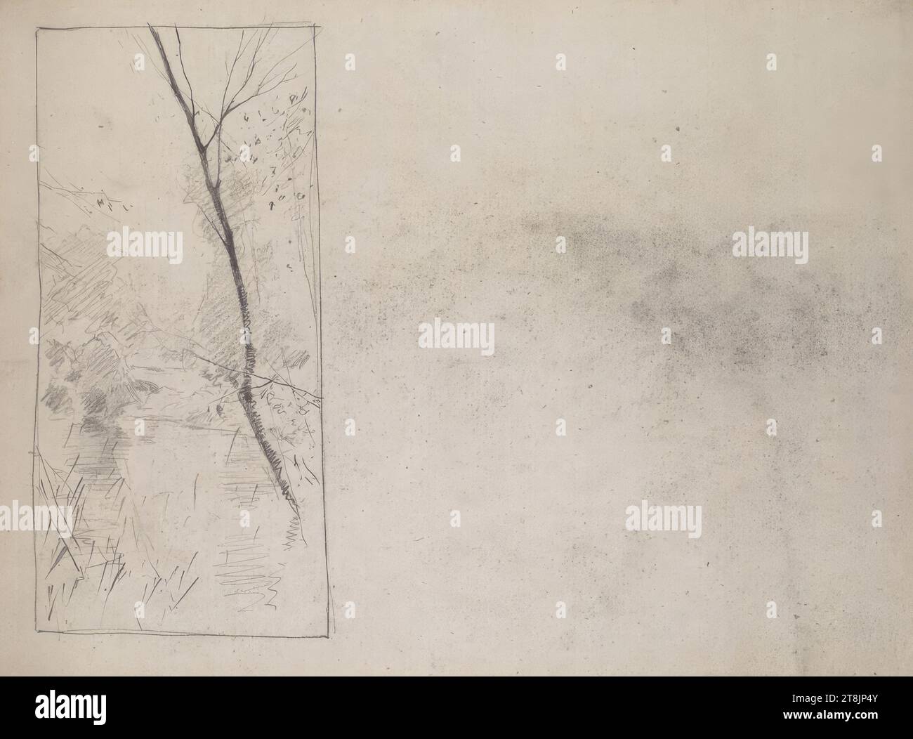 Forest study, upside down, Rösch Ludwig sketchbook; 39 paginated pages ...