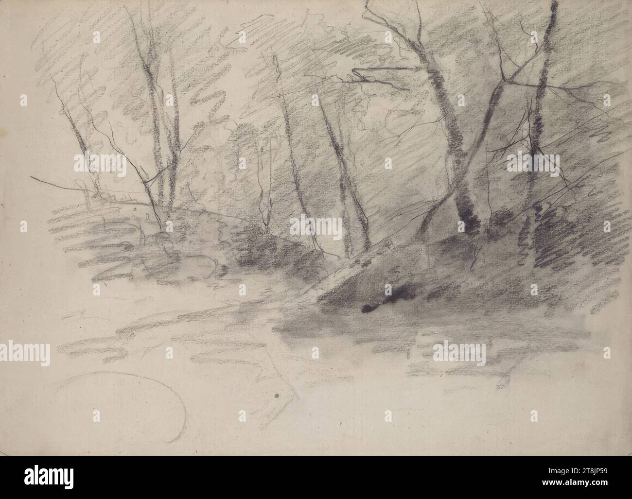 Forest study, sketchbook Rösch Ludwig; 39 paginated pages, Ludwig Rösch ...