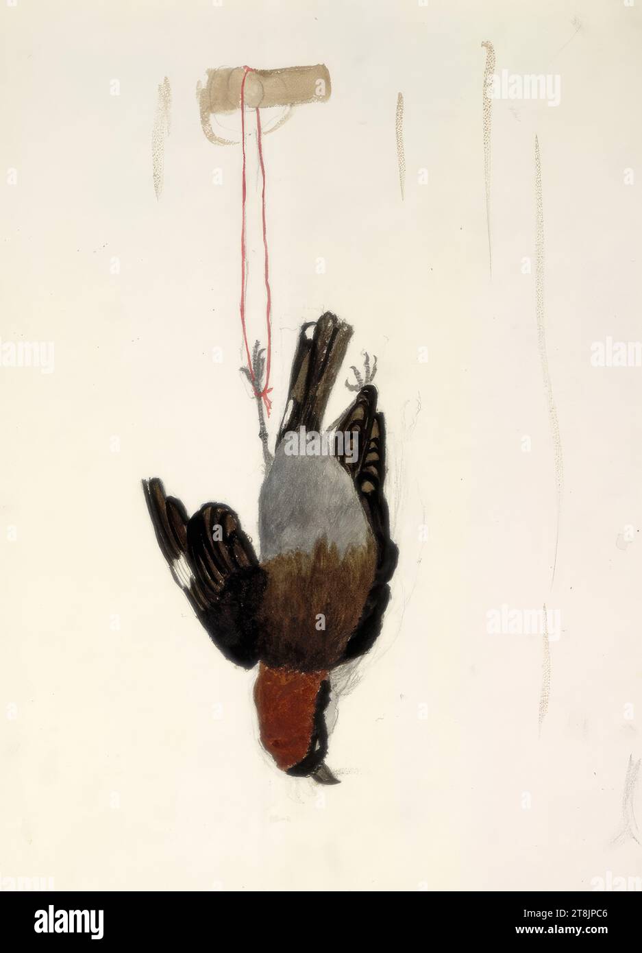 Dead bird, hanging on a red noose, Rudolf Habsburg-Lothringen ...
