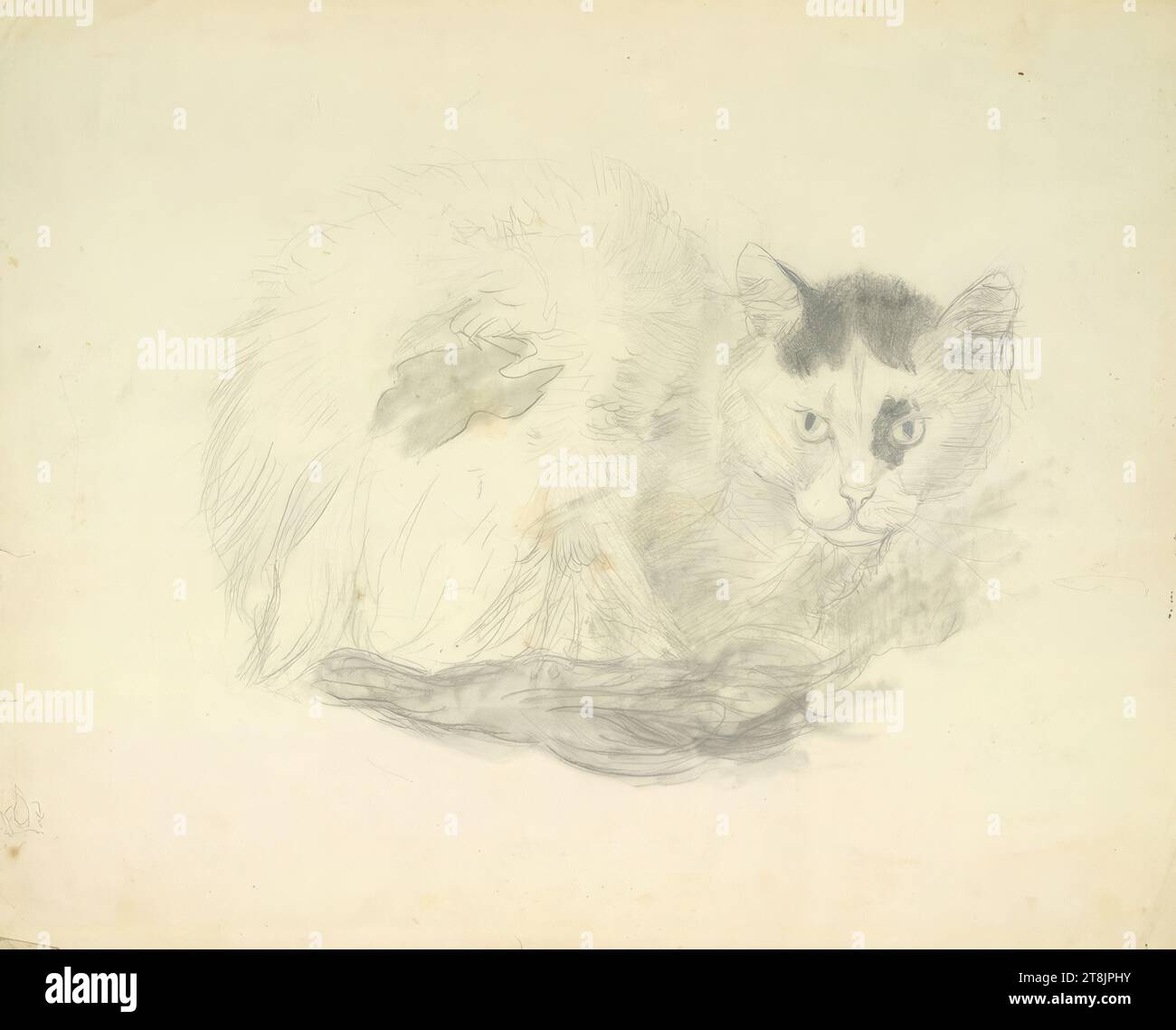 Cat, Rudolf Habsburg-Lothringen, Laxenburg Castle 1858 - 1889 Mayerling ...