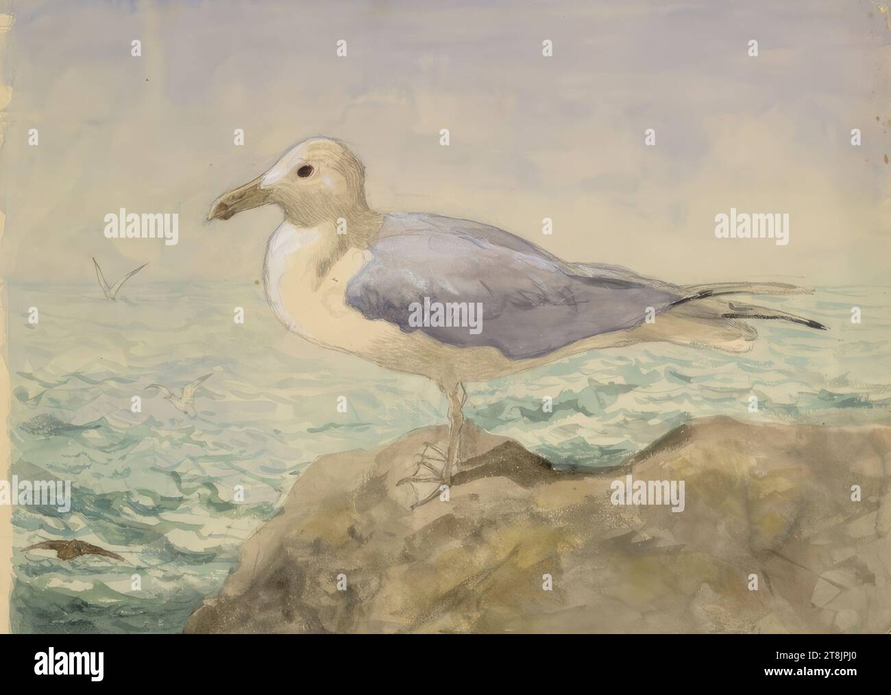 Möve, Rudolf Habsburg-Lothringen, Laxenburg Castle 1858 - 1889 ...