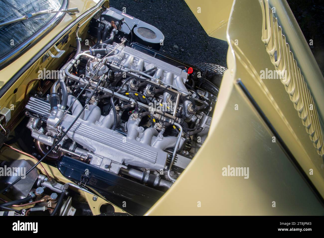 !973 Jaguar E Type Series 3 V12 classic British Sports car in red and ...