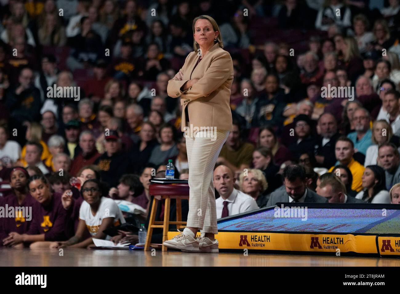 Minnesota head coach Dawn Plitzuweit stands on the court during the ...
