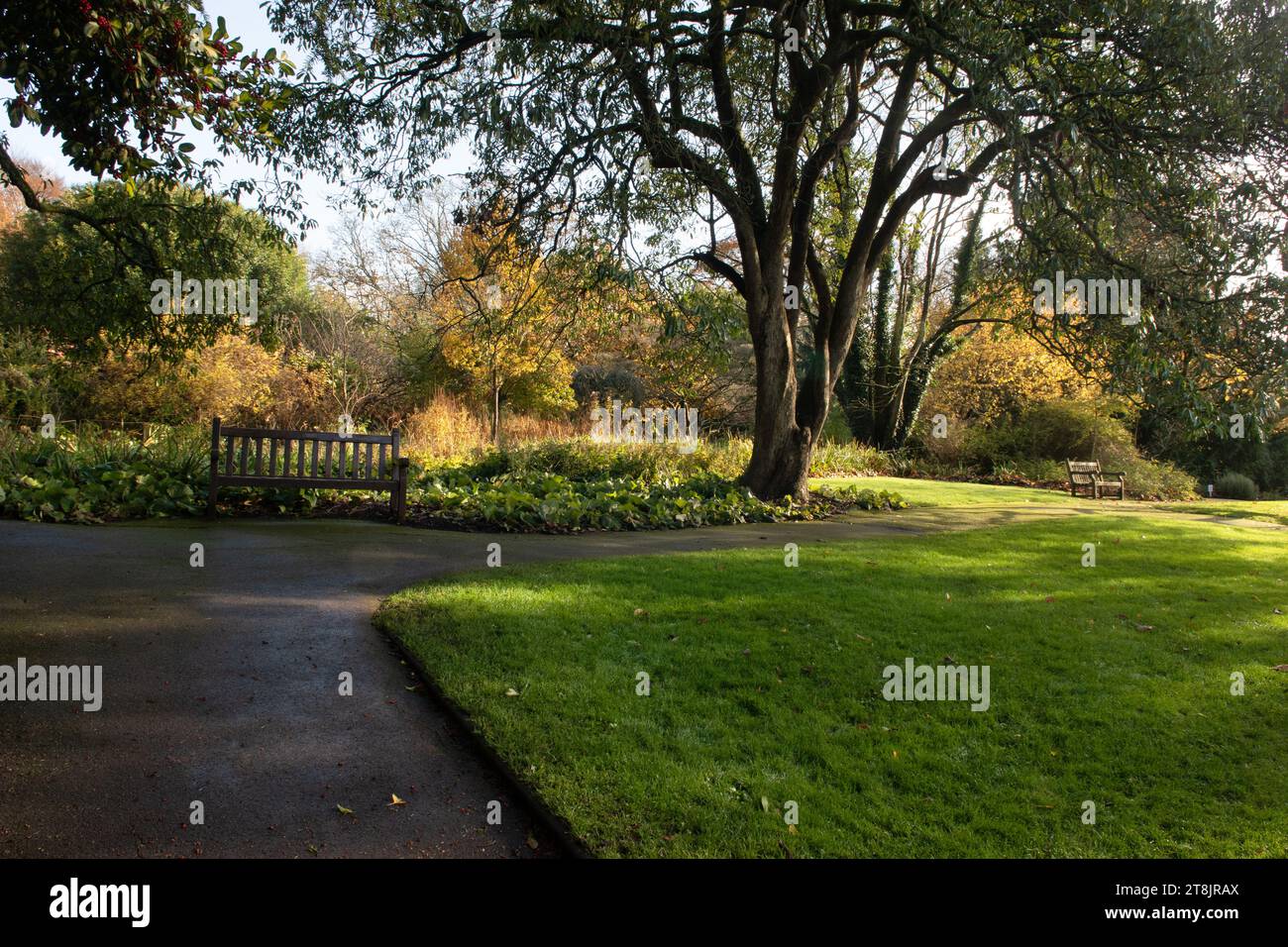 Victoria park bath hi-res stock photography and images - Alamy