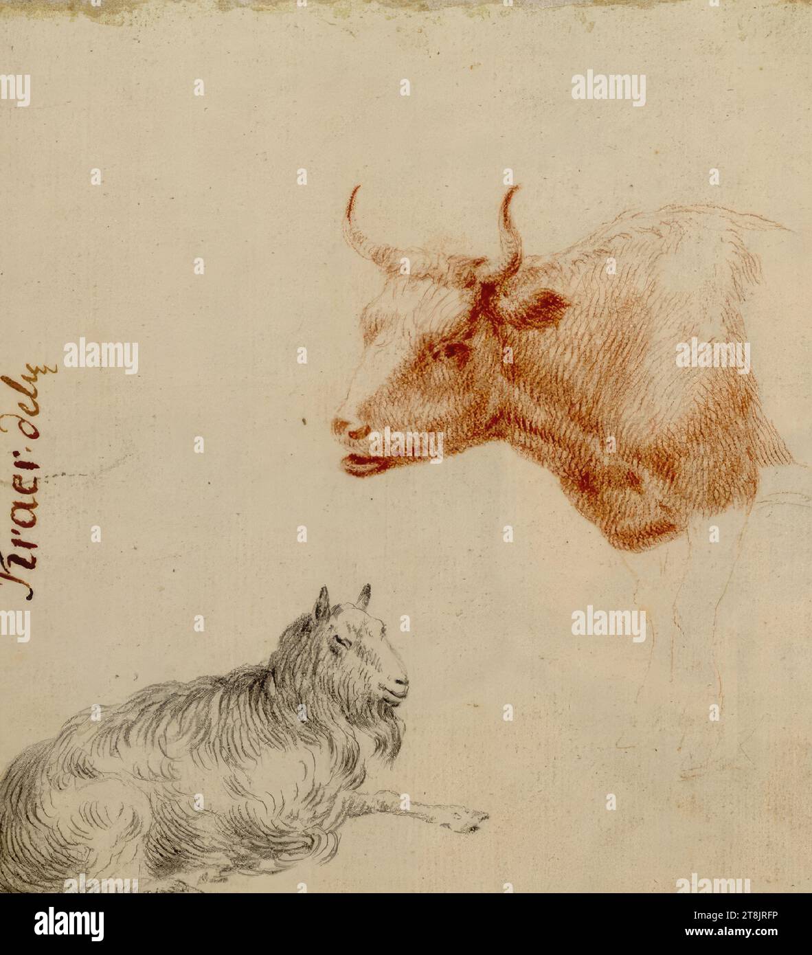 Johann georg kraer hi-res stock photography and images - Alamy