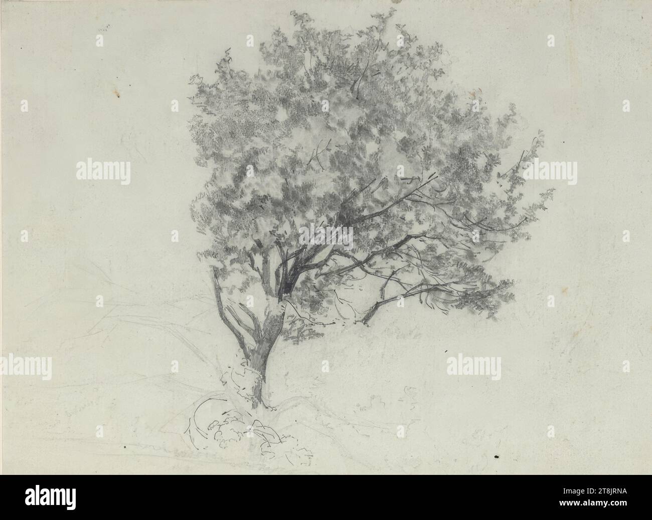 Tree study, August Xaver Karl von Pettenkofen, Vienna 1822 - 1889 ...