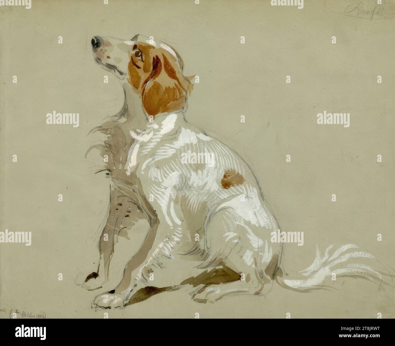 Vienna 1805 1854 vienna hi-res stock photography and images - Alamy