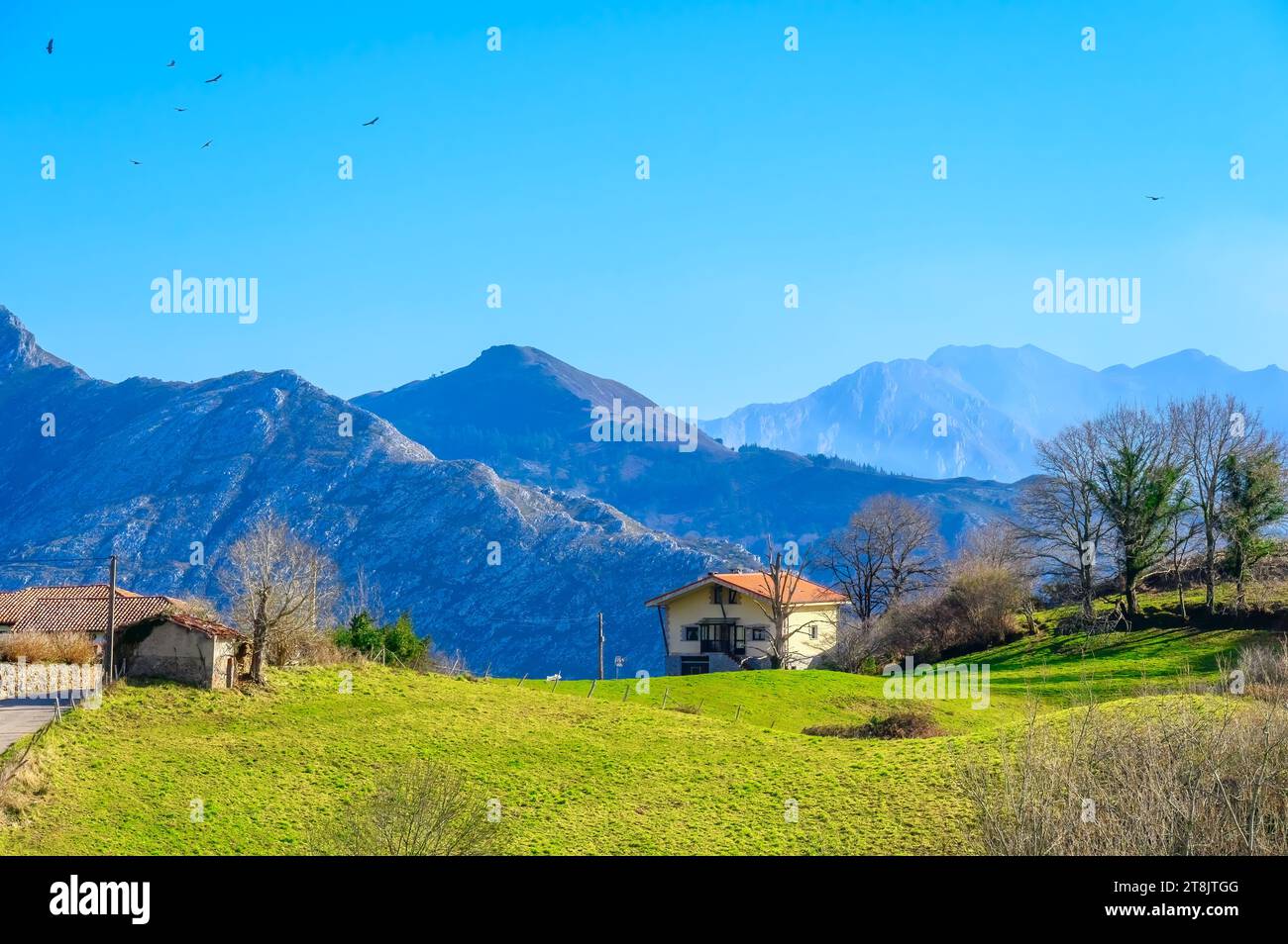 Beauty of rural hi-res stock photography and images - Alamy