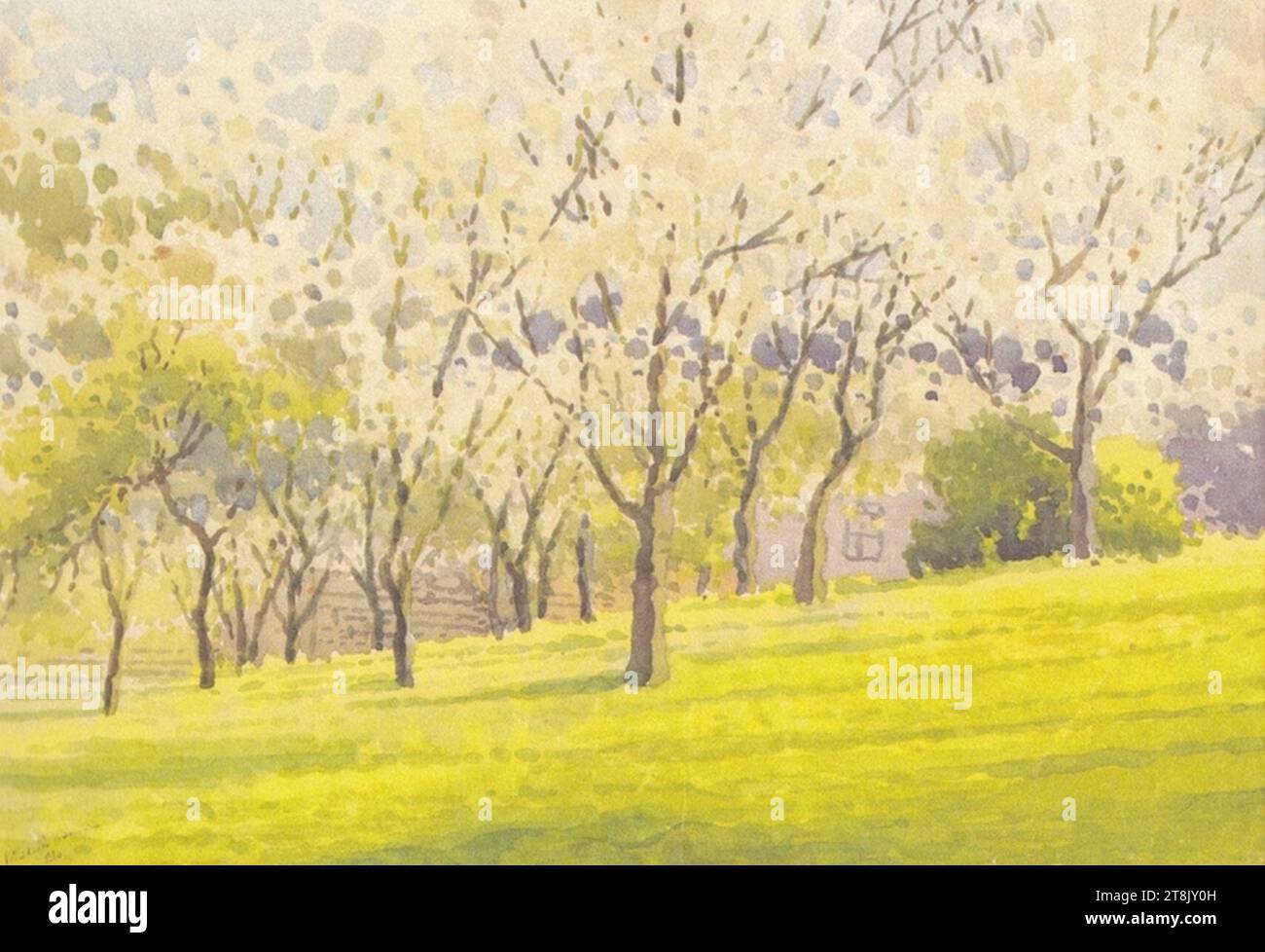 Valeriu Maximilian - Livada cu pomi infloriti (1936 Stock Photo - Alamy