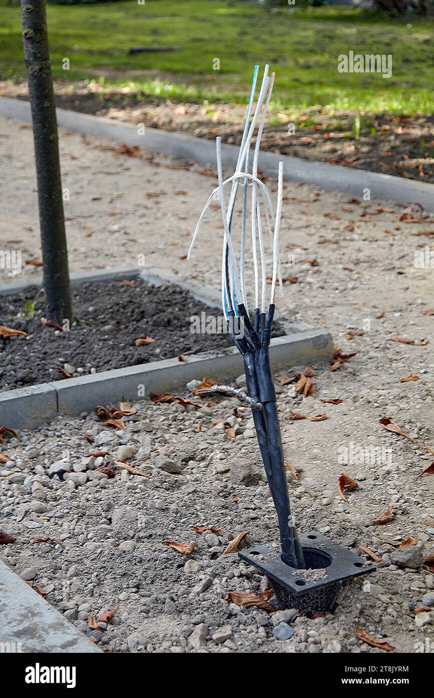 Laying an electrical cable for street lighting. Road renovation work in ...