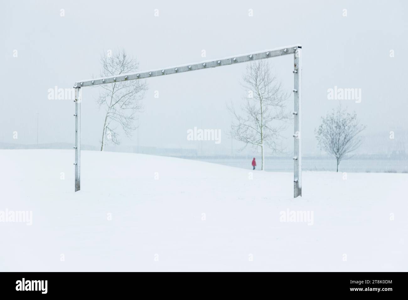 Soccer goal posts on snowy day Stock Photo - Alamy