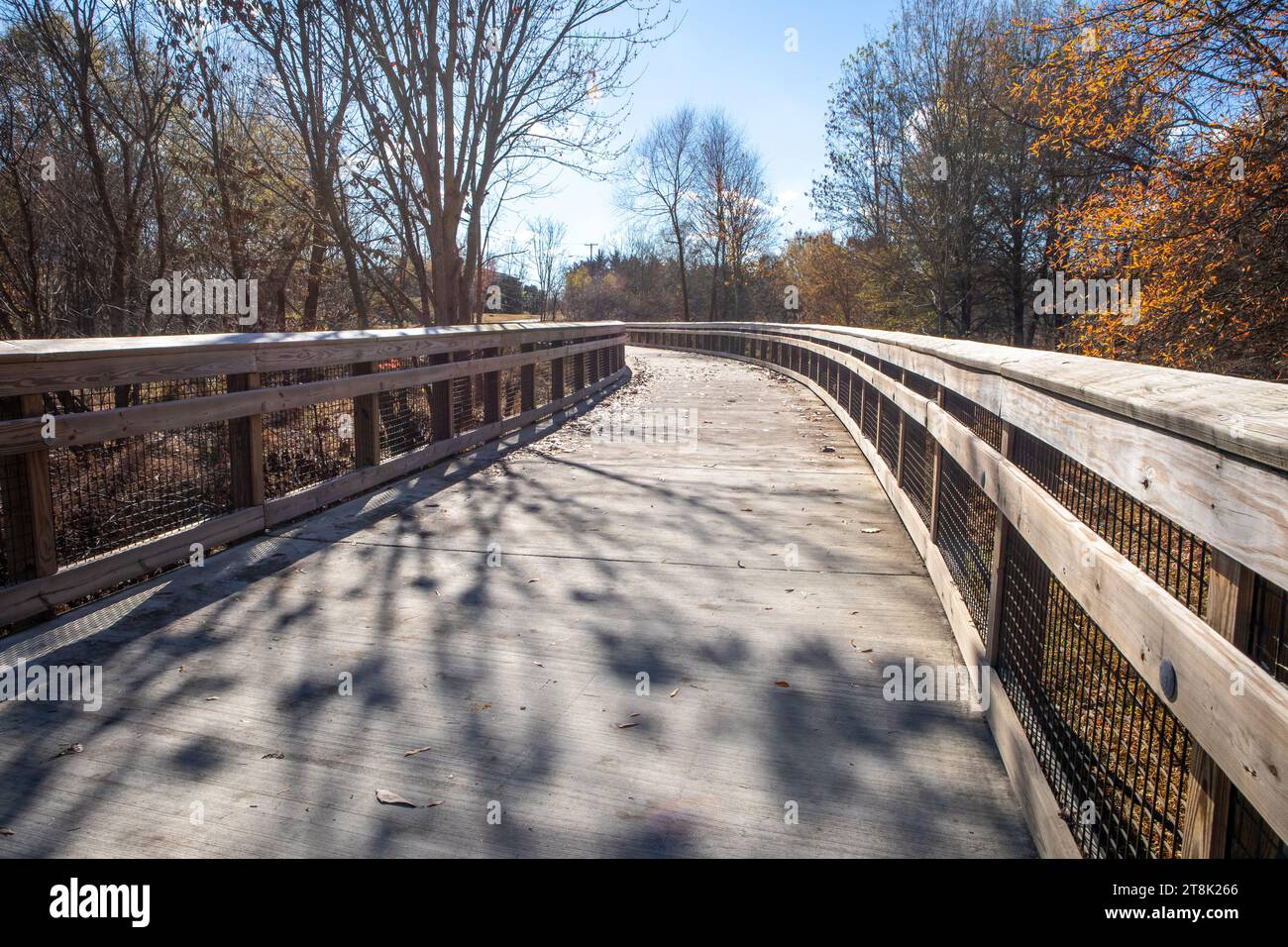 A late afternoon sun casts shadows of trees across a boardwalk through ...