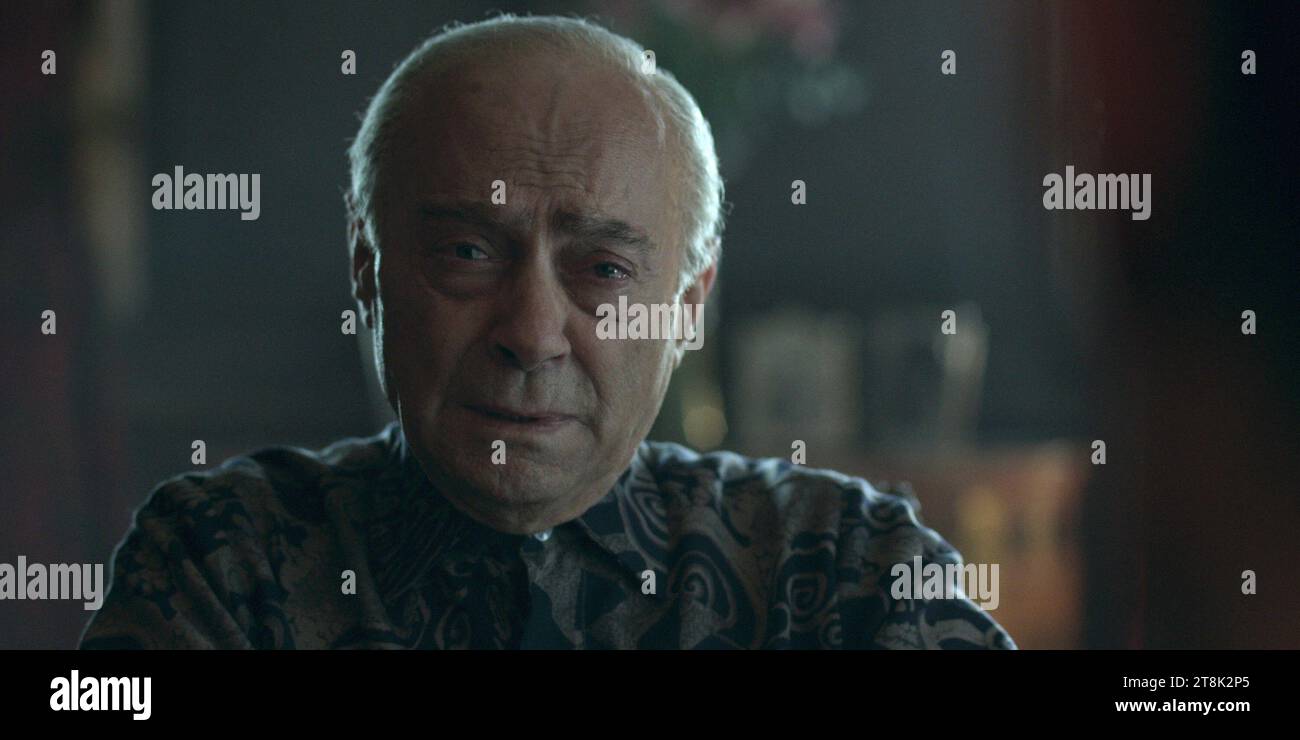 THE CROWN, Salim Daw as Mohamed Al Fayed, (Season 6, premiered Nov. 16 ...