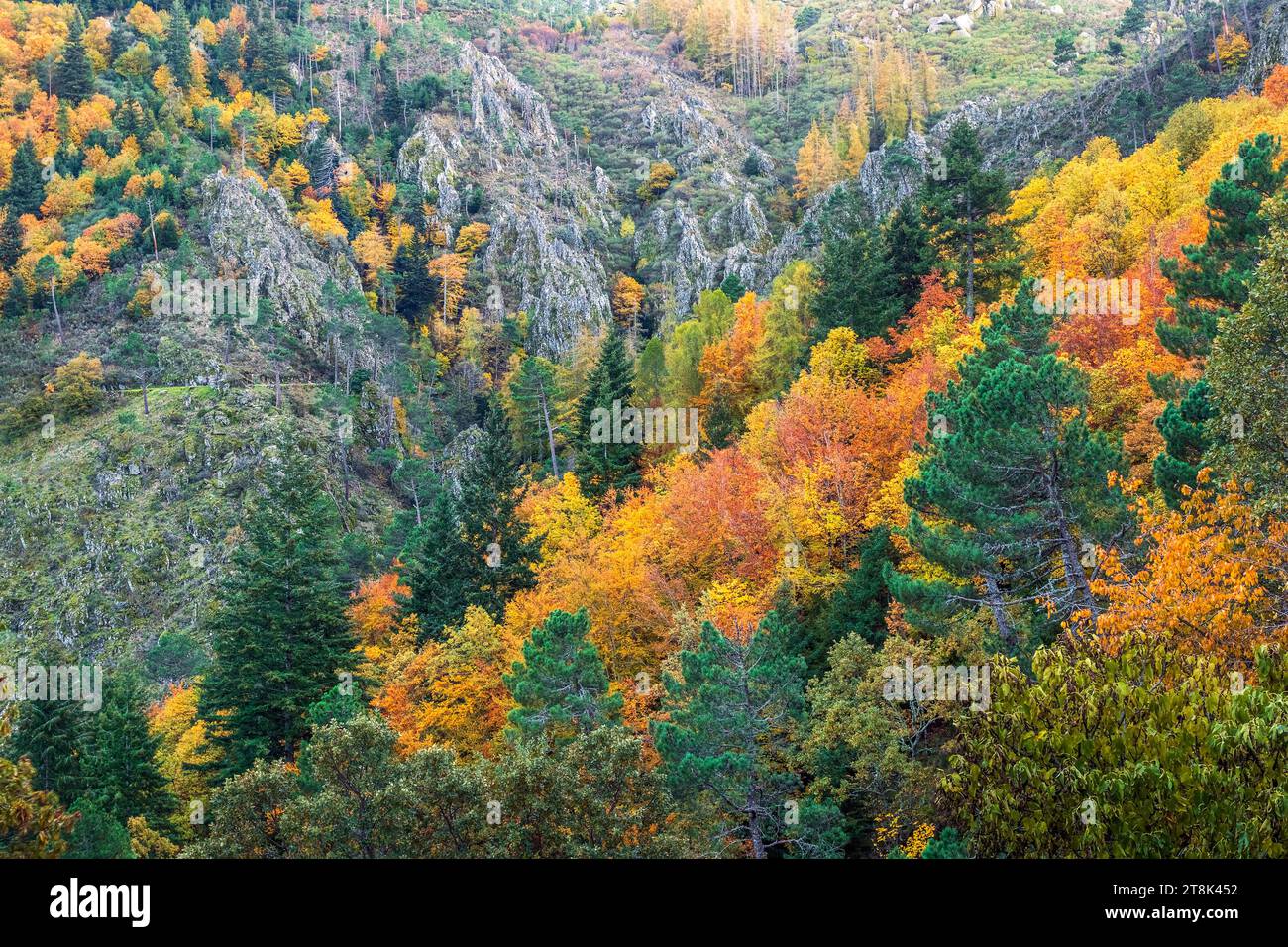Beautiful autumn landscape of Poço do Inferno in Serra da Estrela near ...