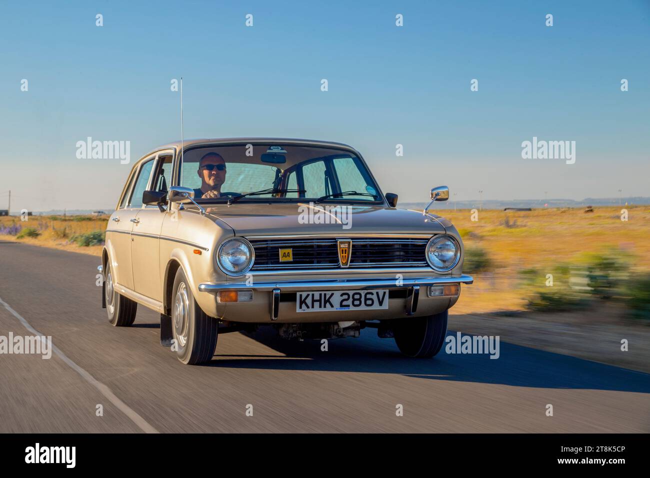 1979 Austin Maxi HLS classic Brtish family car Stock Photo - Alamy