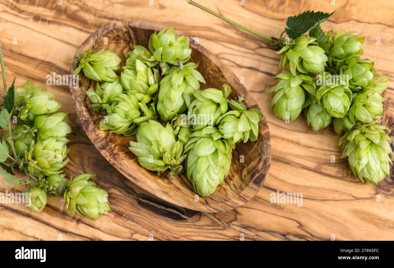 common hop (Humulus lupulus), bowl with hop cones Stock Photo - Alamy