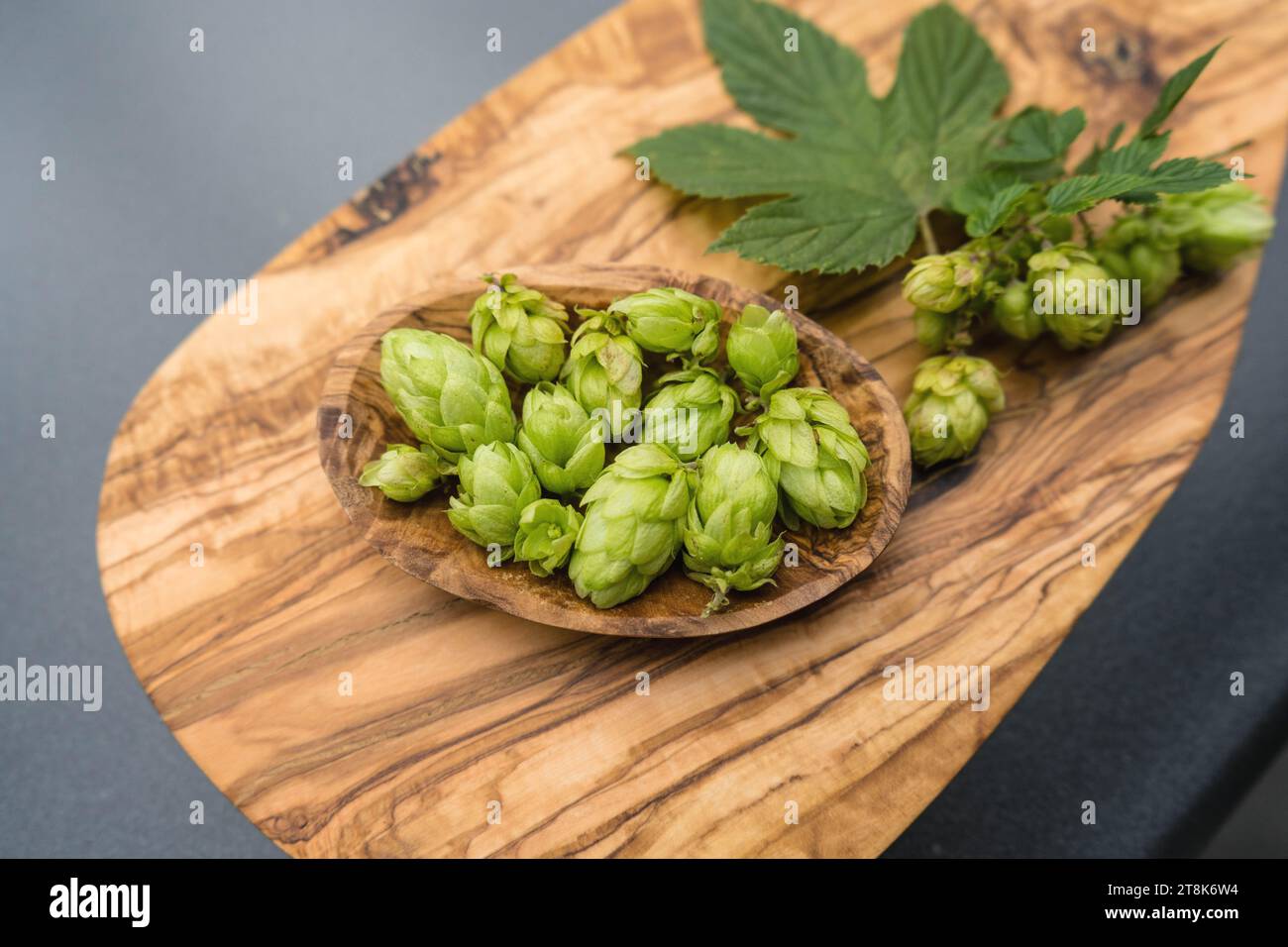 common hop (Humulus lupulus), bowl with hop cones and leaf Stock Photo ...