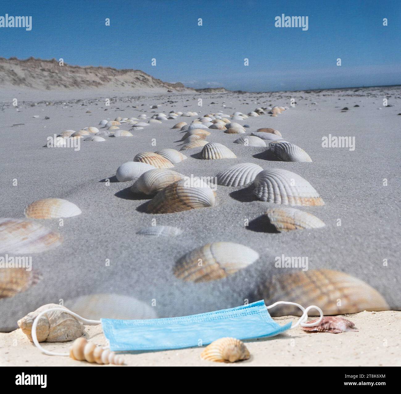 face mask with shells and snailsshells in front of photographic ...