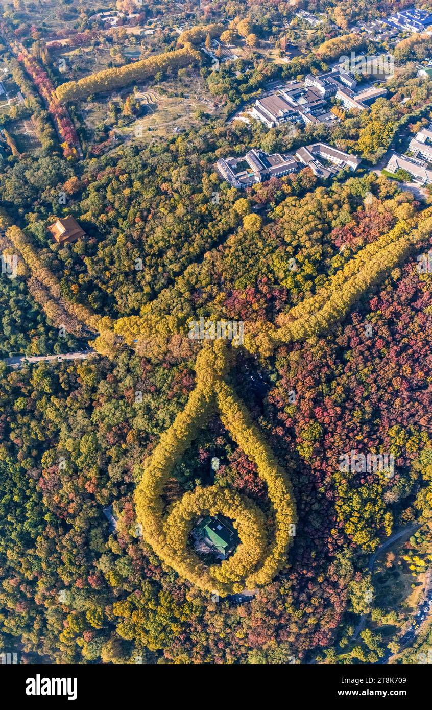 Nanjing, China. 21st Nov, 2023. NANJING, CHINA - NOVEMBER 19, 2023 ...