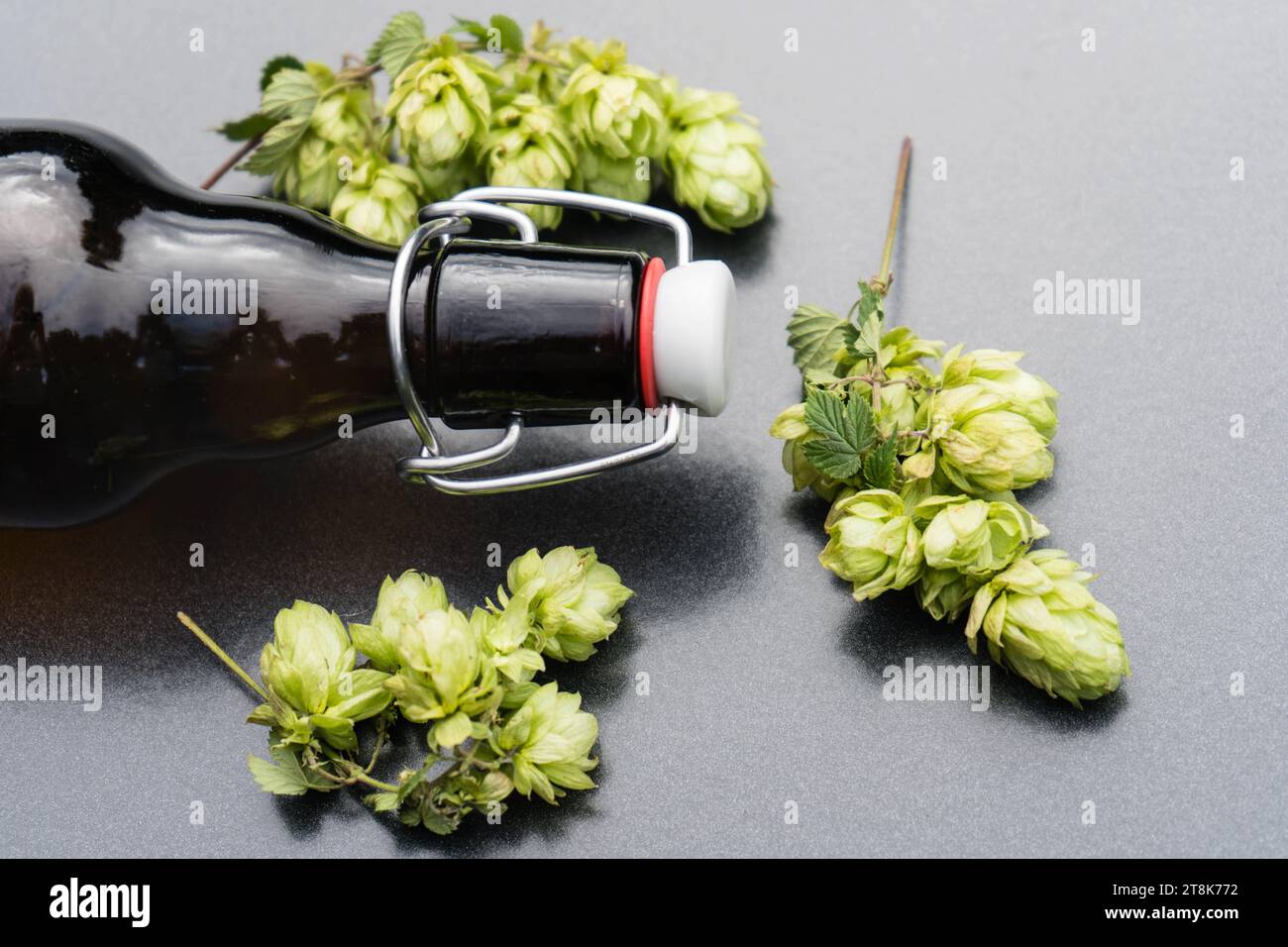common hop (Humulus lupulus), bottle beer and hop cones Stock Photo - Alamy