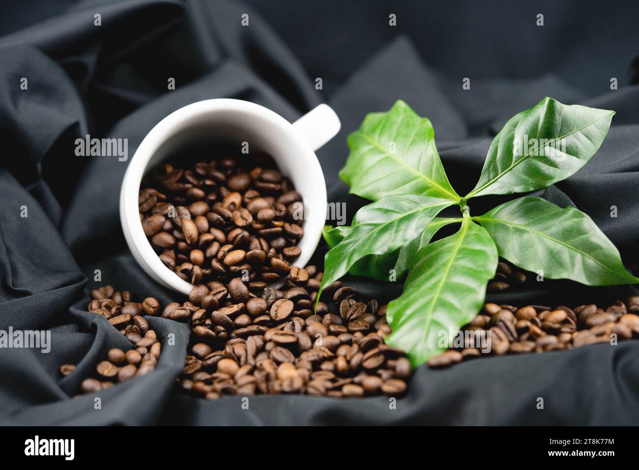 roasted coffee beans with branch of coffee bush and cup Stock Photo - Alamy