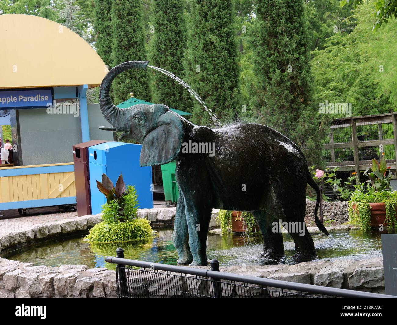 St louis zoological park hi-res stock photography and images - Alamy