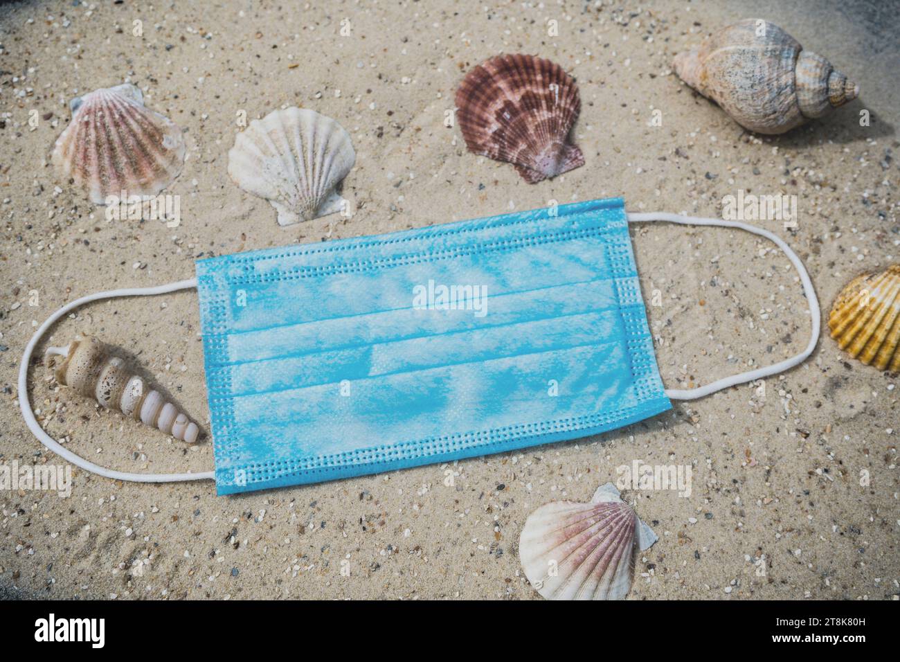 face mask with shells and snailsshells on the beach, summer holidays ...