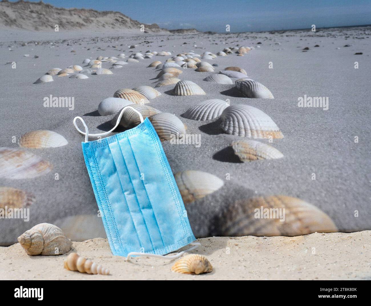 face mask with shells and snailsshells in front of photographic ...