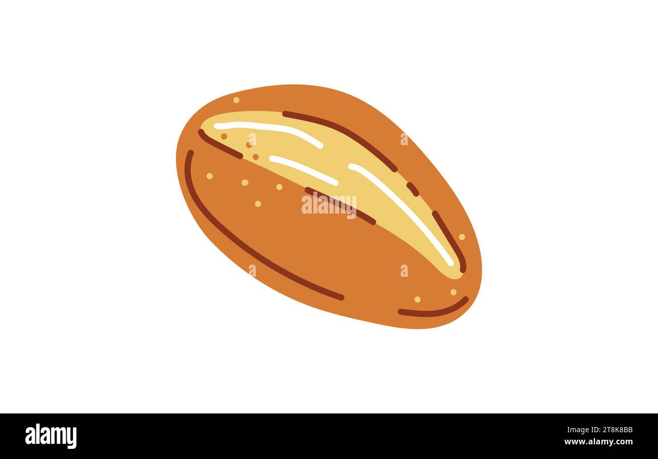 Bread rolls for brunch in germany or sunday buns.Vector illustration ...