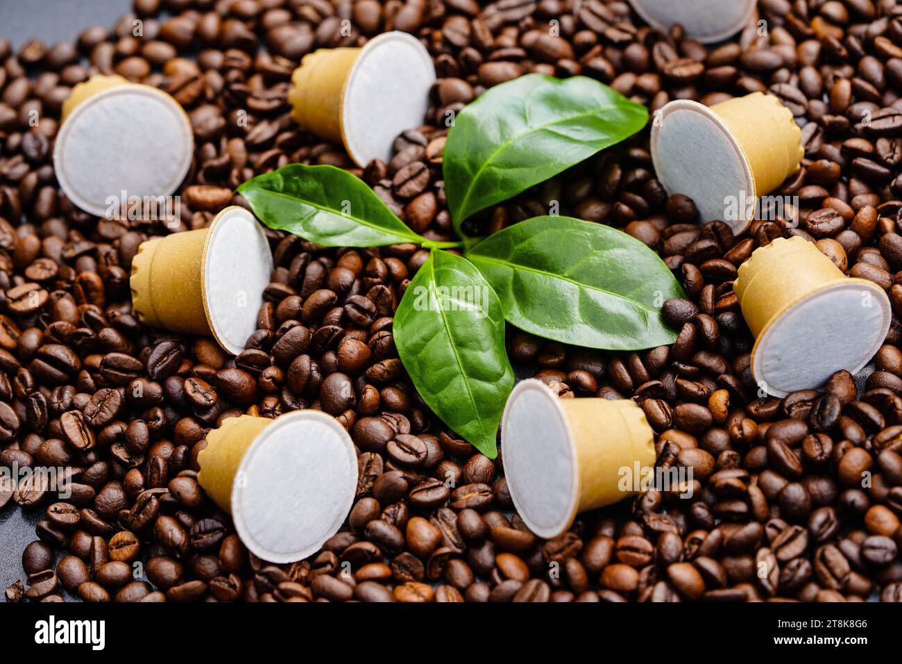 roasted coffee beans with branch of coffee bush and coffee creamer pots ...