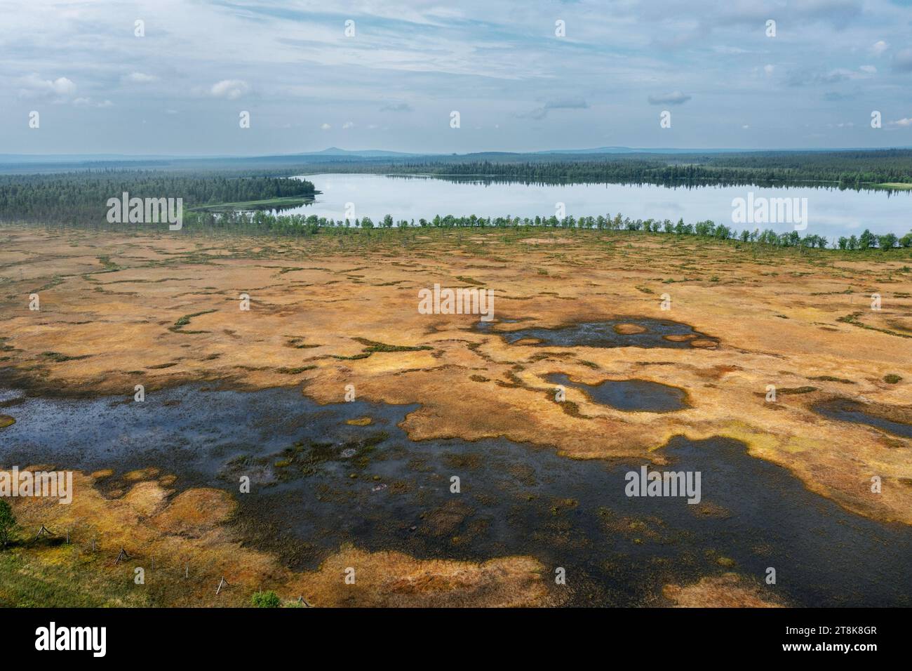 string bog at Lake Ilmakkijaervi near Petkula, aerial view, Finland ...
