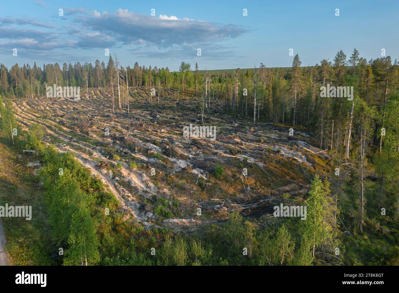 cleared forest area in full ploughing, aerial view , Finland, Kuusamo ...