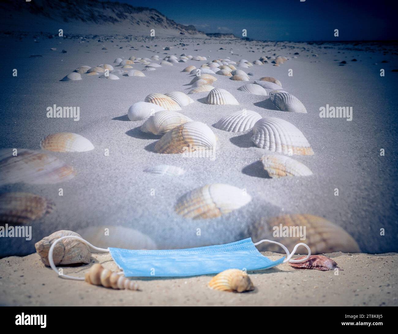 face mask with shells and snailsshells in front of photographic ...