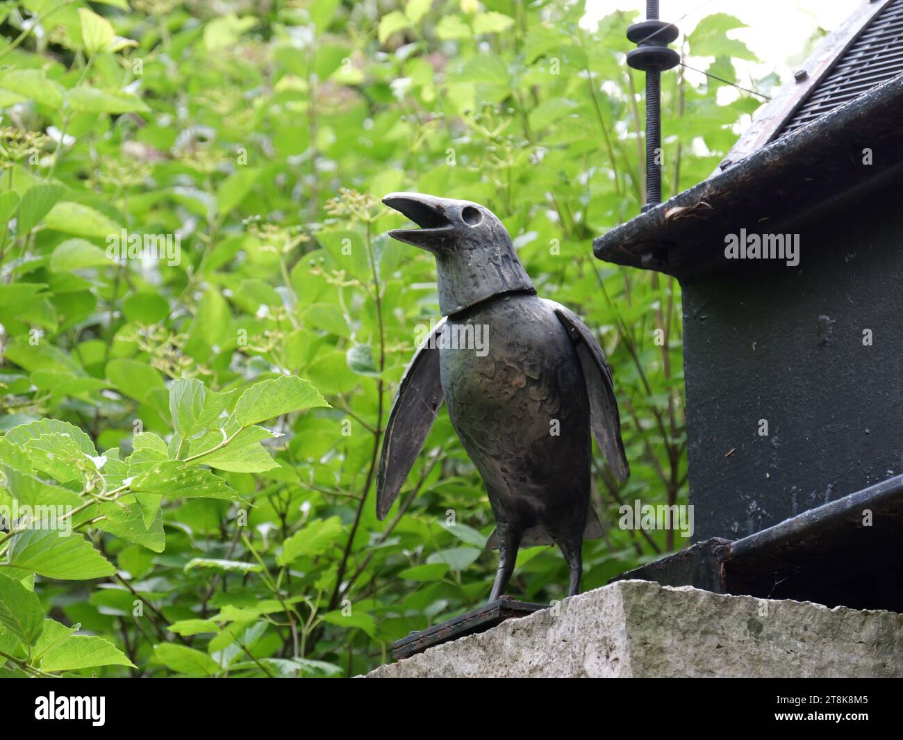 St louis zoological park hi-res stock photography and images - Alamy