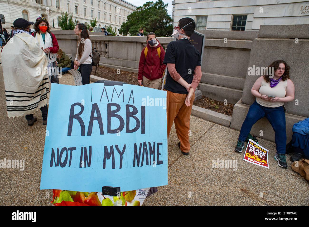 Pro Palestinian, anti Israel demonstration, protest, Washington goon ...