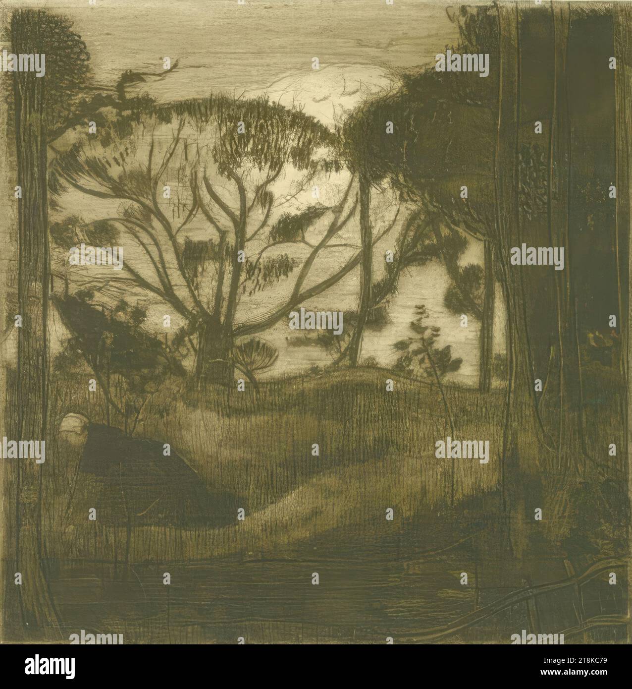Forest landscape, around 1890, print, etching, sheet: 60.3 cm x 43 cm ...