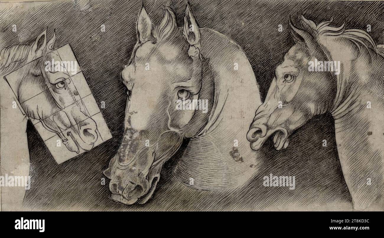 Three horse heads, Andrea Zoan, Italy, mentioned, around, 1475 - 1505 ...