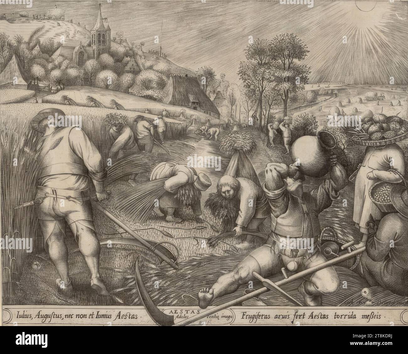 Fert aestas torrida messeis hi-res stock photography and images - Alamy