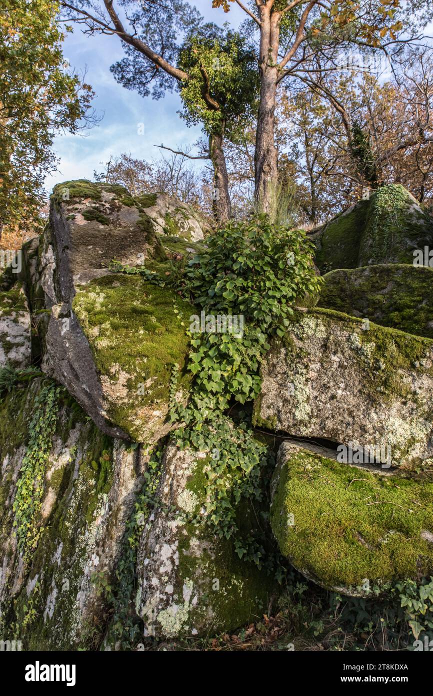 Pierre de la roche hi-res stock photography and images - Alamy