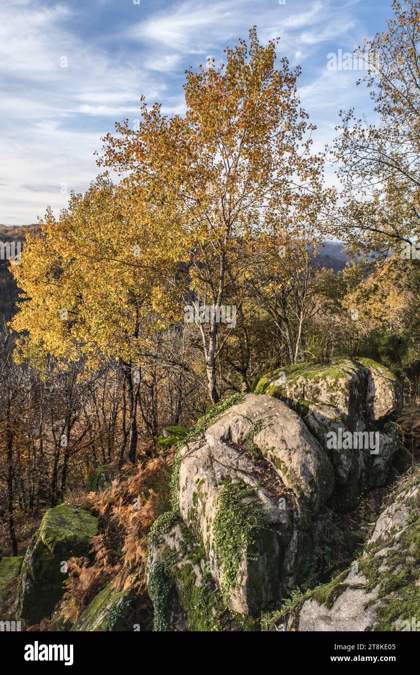 Roche granitique hi-res stock photography and images - Alamy