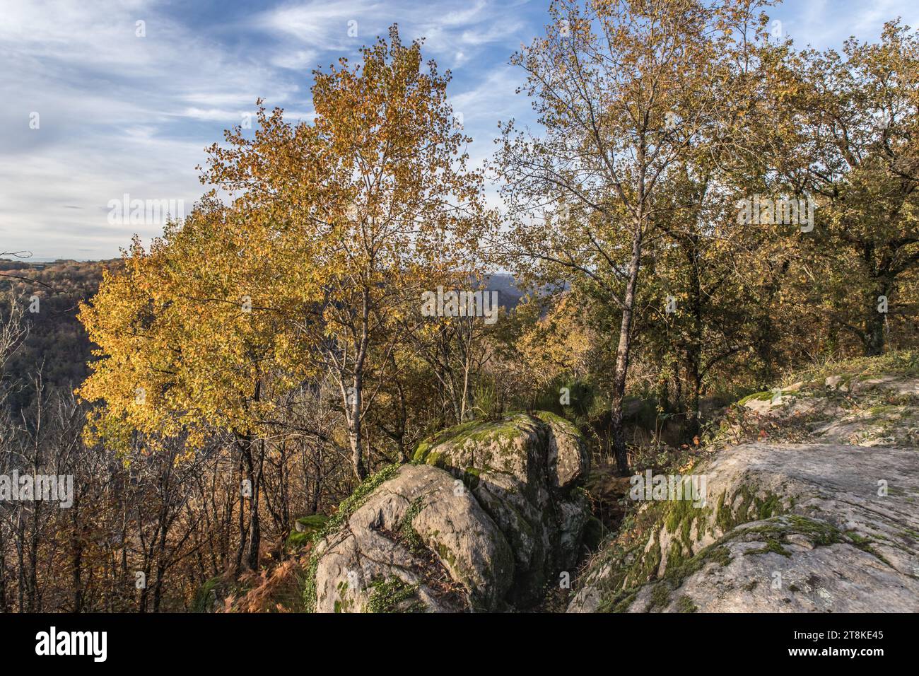 Pierre de la roche hi-res stock photography and images - Alamy