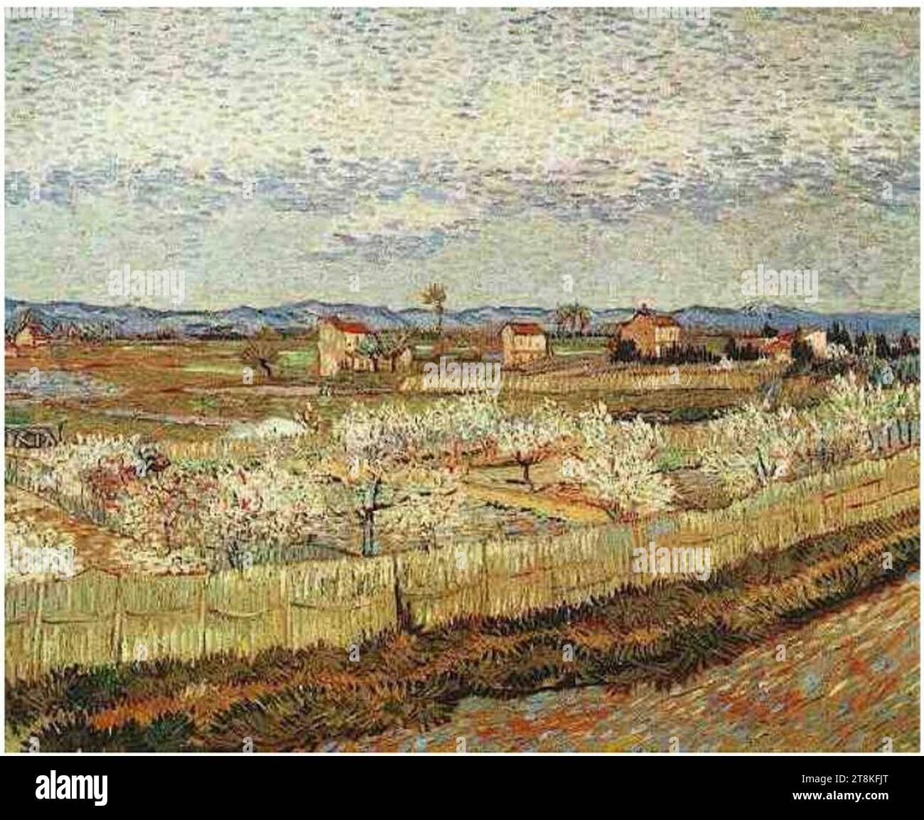 Crau ebene hi-res stock photography and images - Alamy