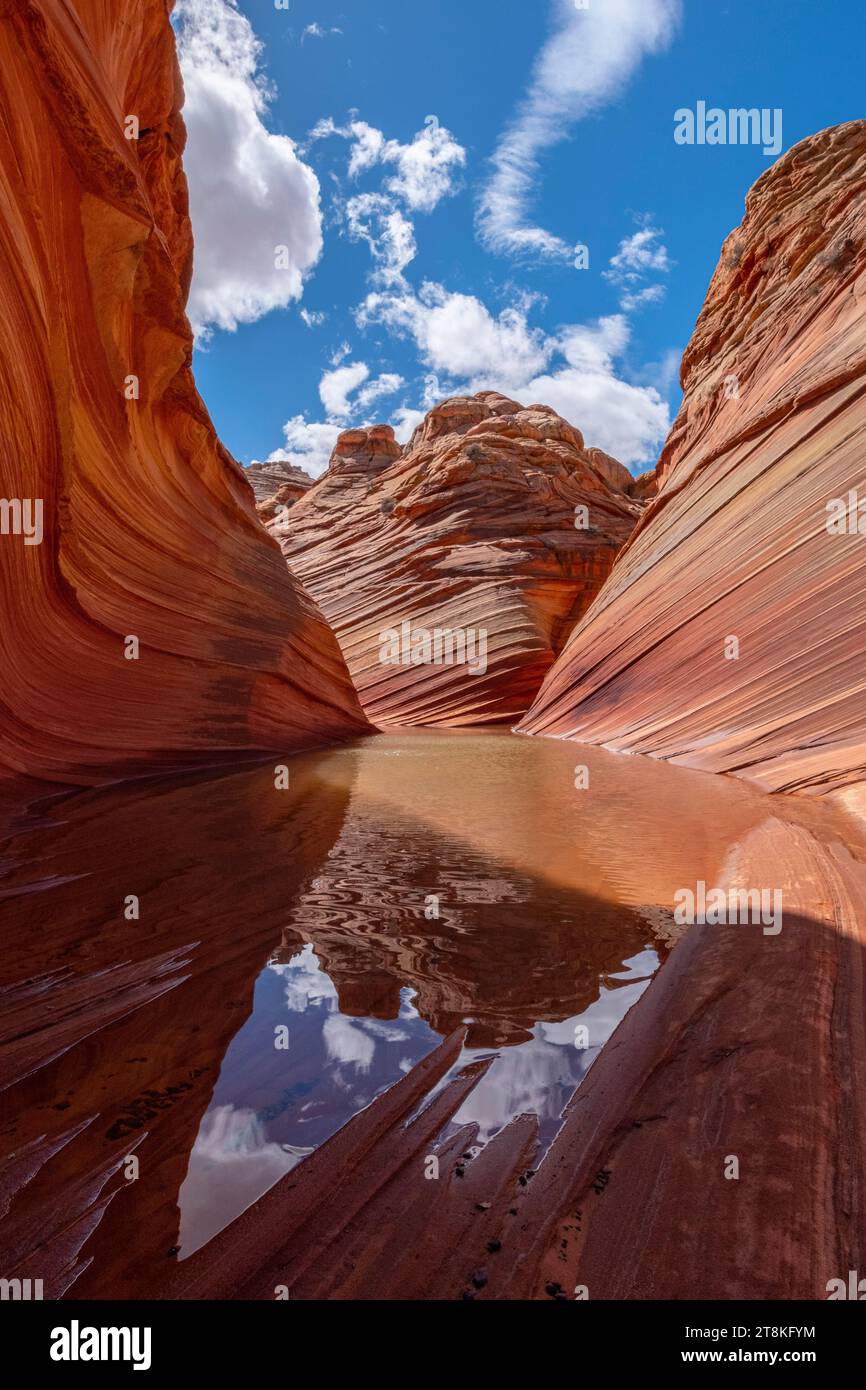 The Wave with water, Coyote Buttes North, Vermillion Wilderness ...