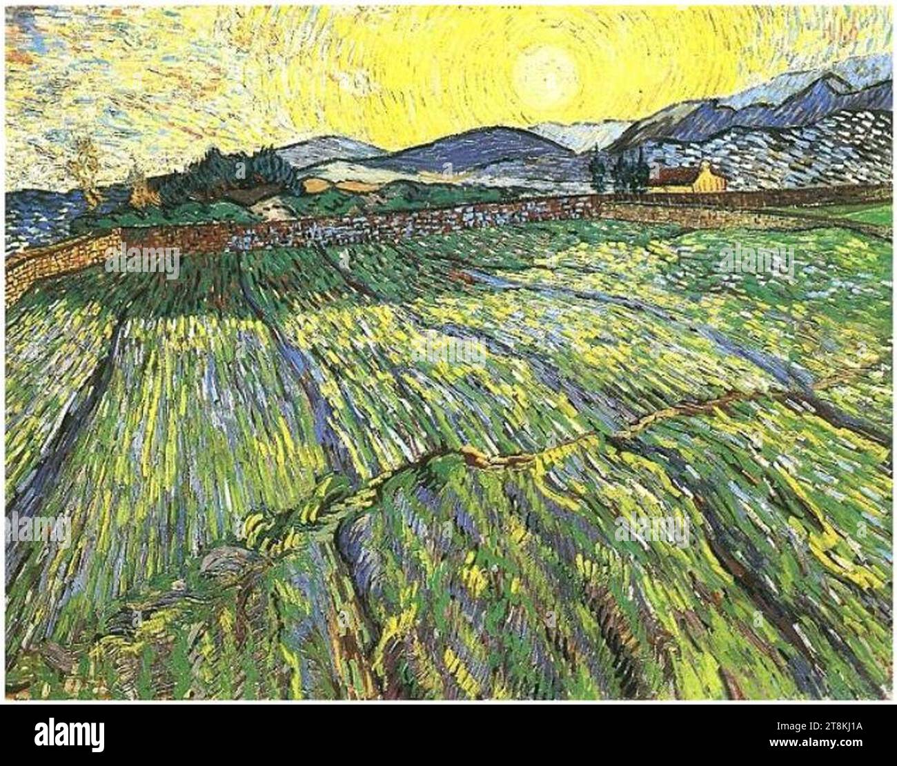 Van Gogh Umfriedetes Feld Mit Jungem Korn Bei Sonnenaufgang Stock 7776