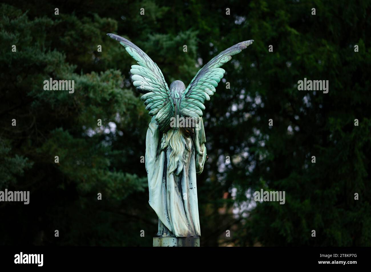 rear view of a large angel figure with wings and long hair in a ...