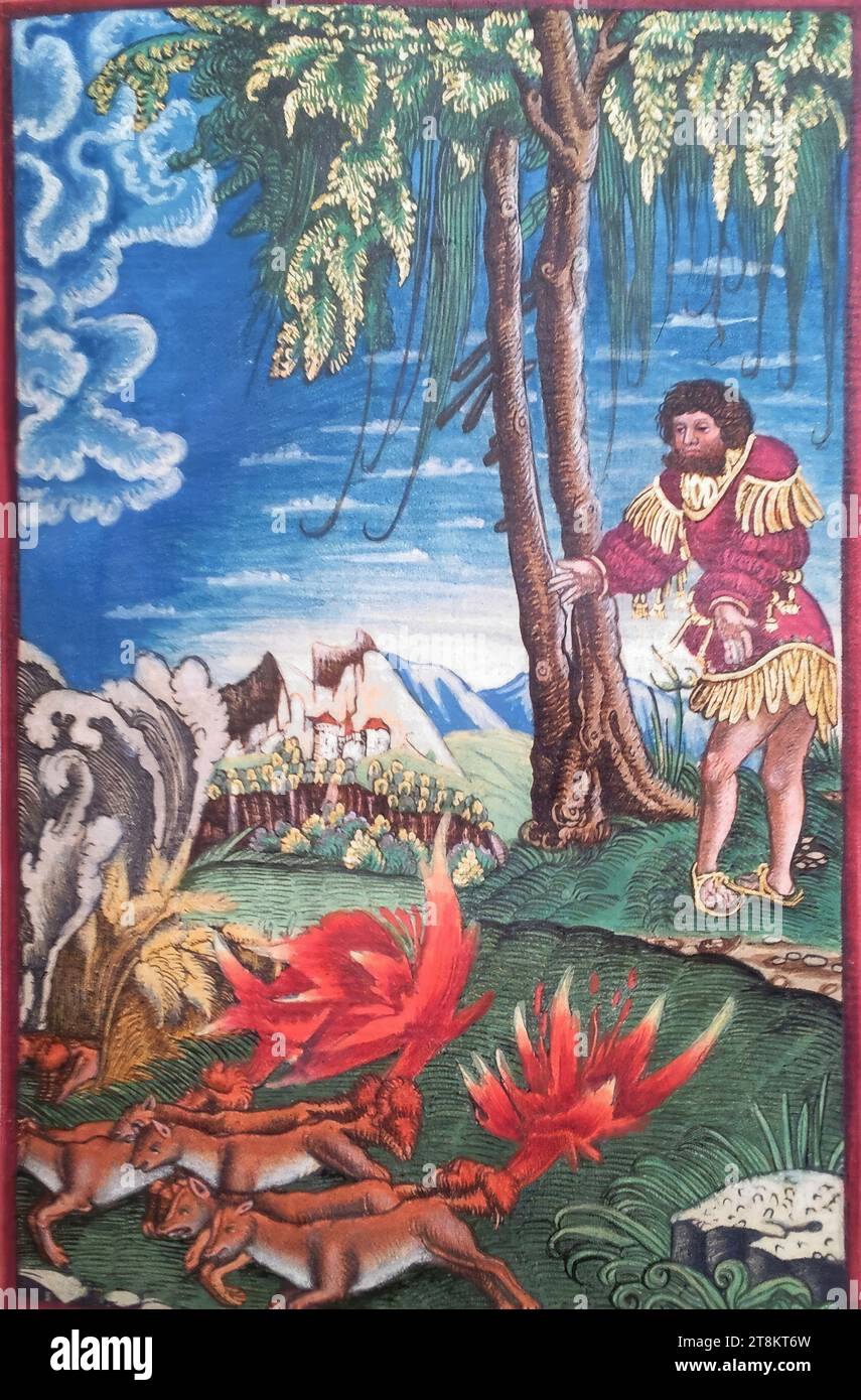 Old Testament, Luther Bible, Samson chases the foxes into the fields of ...
