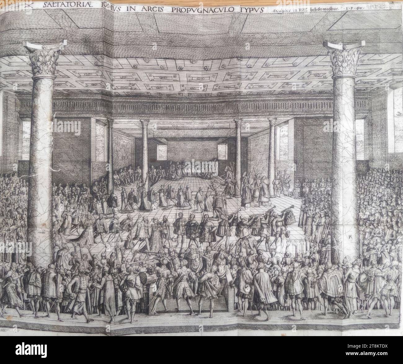 Thorough and short description of the old and young procession ...: The ...