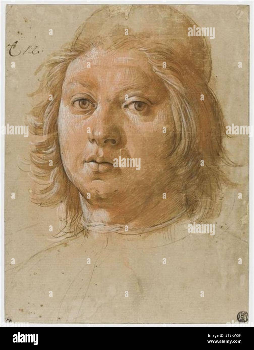 VANNUCCI Pietro - Tête de jeune homme, vue de face, coiffée d'une ...